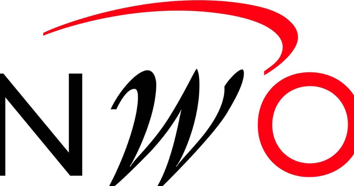 Vidi Grants awarded to Miranda Cheng and Mingmin Shen - Korteweg-de ...